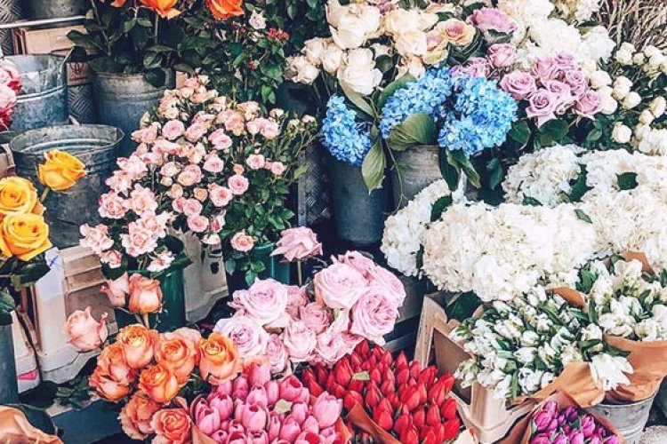What is the role of Ask4Brand in bringing a new era of floral elegance ...